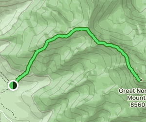 Great Northern Mountain Trail: 161 Reviews, Map - Montana | AllTrails