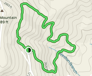 Collier Cove Nature Preserve: 456 Reviews, Map - North Carolina | AllTrails