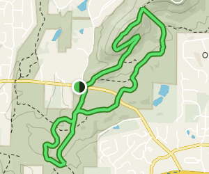 Pigeon Hill, Brumby Camp, Hardage Mill and Noses Creek Trail : 281 ...