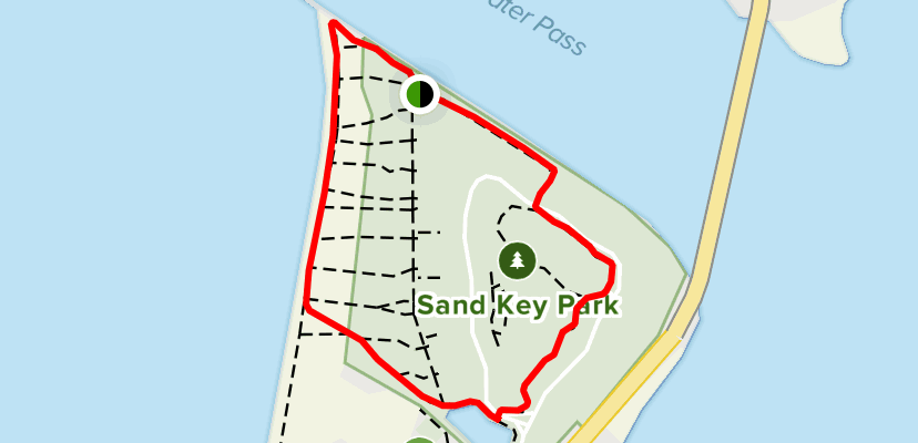 Are Dogs Allowed At Sand Key Park