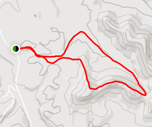 Ridge Trail and Circle Trail Loop | Map, Guide - Kentucky | AllTrails