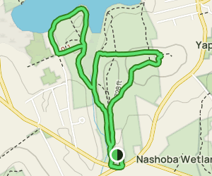 Long Lake Park Loop: 117 Reviews, Map - Massachusetts | AllTrails