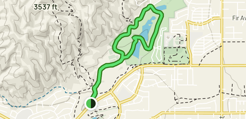 Are Dogs Allowed At Yucaipa Regional Park