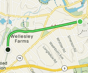 Wellesley Crosstown Trail: 28 Reviews, Map - Massachusetts | AllTrails