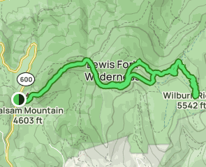 Elk Garden Trail to Wilburn Ridge: 35 Reviews, Map - Virginia | AllTrails
