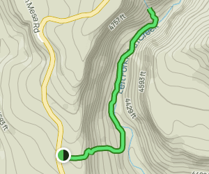 Grapevine Trail to Grapevine Spring: 50 Reviews, Map - Utah | AllTrails