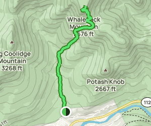Whaleback Mountain Snowshoe Route: 53 Reviews, Map - New Hampshire ...