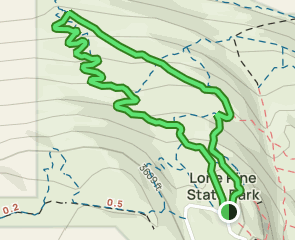 Western Larch and Lone Pine Trail Loop: 63 foto - Montana | AllTrails