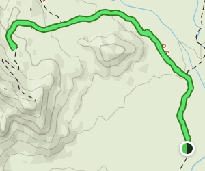 Bulldog Canyon Trail: 206 Reviews, Map - Arizona | AllTrails
