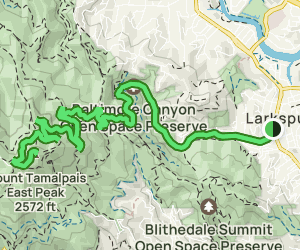 Larkspur to Mount Tamalpais: 5.509 foto's - Californië | AllTrails