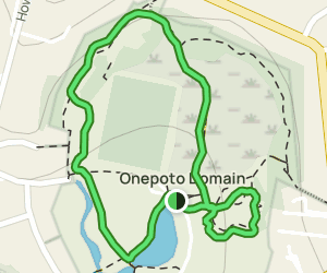 Onepoto Domain Track: 30 Reviews, Map - Auckland, New Zealand | AllTrails