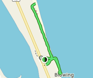 Blowing Rocks Nature Preserve: 87 Reviews, Map - Florida | AllTrails