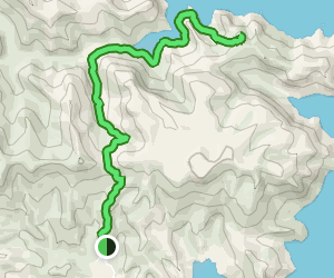 Dukes Nose via Wairaku Stream Track: 148 Reviews, Map - Northland, New ...