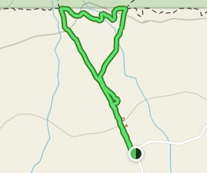 Carney Springs Trail and Lost Goldmine Trail: 104 Reviews, Map ...