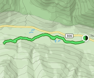 Collegiate Peaks Campground Hike: 34 Reviews, Map - Colorado | AllTrails