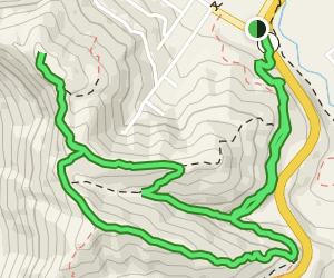 Ace Trail to Pedro Point Loop: 1354 Reviews, Map - California | AllTrails
