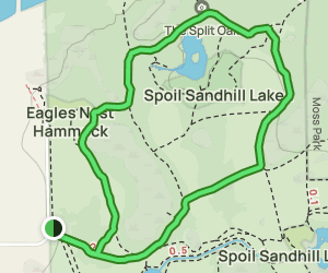 Split Oak Forest Green Trail: 549 Reviews, Map - Florida | AllTrails