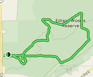 Edison Woods Reserve Loop: 317 Reviews, Map - Ohio | AllTrails