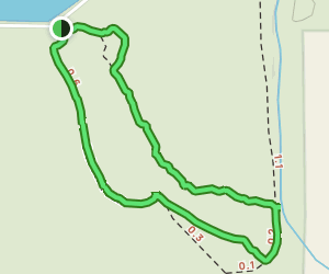 Oxbow Trail: 106 Reviews, Map - New Mexico | AllTrails