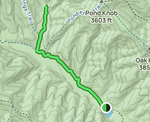 Hone Quarry Waterfall, Virginia - 281 Reviews, Map | AllTrails