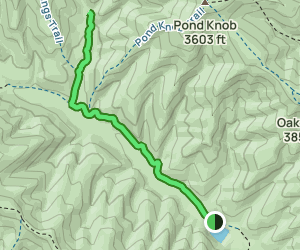Hone Quarry Waterfall: 277 Reviews, Map - Virginia | AllTrails