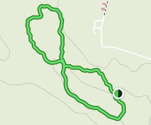 Stephen F. Austin Interpretive Trail | Map, Guide - Texas | AllTrails