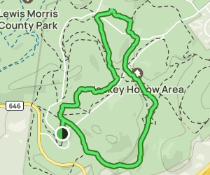 Grand Loop Trail, Primrose Trail, Yellow, and Orange Trail Loop: 79 ...