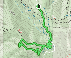 Lewis Loops, Oregon - 109 Reviews, Map | AllTrails