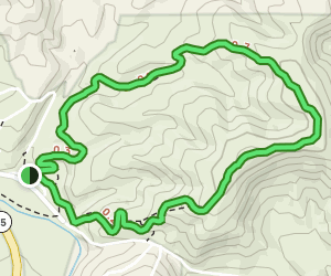 Laurel Ridge Trail Loop: 570 Reviews, Map - Georgia | AllTrails