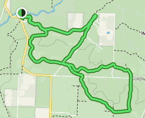 Coldwater Horse Trail: 5 Reviews, Map - Florida | AllTrails