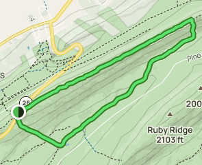 Mid-State Trail to Jackson Trail Loop: 103 Reviews, Map - Pennsylvania ...