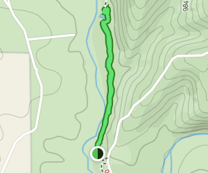Welch Spring Trail: 87 Reviews, Map - Missouri | AllTrails