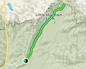 Little Brier Gap Trail, Tennessee - 185 Reviews, Map | AllTrails