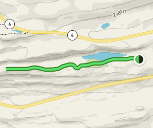 Blueberry Lake Trail: 2 Reviews, Map - Alaska | AllTrails