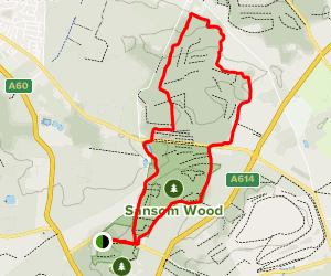 Burntstump Country Park, Sansom Woods, and Blidworth Woods Loop ...