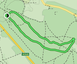 Savernake Forest Circular: 244 Reviews, Map - Wiltshire, England ...