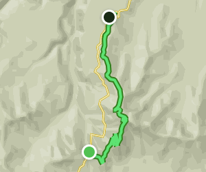 Dunraven Pass to Chittenden Road via Mount Washburn: 13 Reviews, Map ...