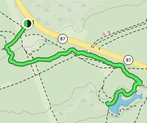 FLT Yellow River Bridge to Buck Pond: 70 foto - Florida | AllTrails