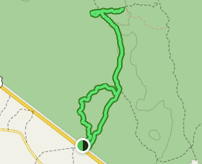 Flatiron to Castle Trail Loop, Oregon - 405 Reviews, Map | AllTrails