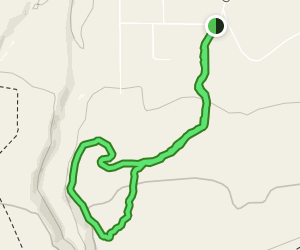 Cassidy Creek: 75 Reviews, Map - Washington | AllTrails