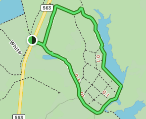 Franklin Parker Preserve Yellow and Blue Trails, New Jersey - 179 ...