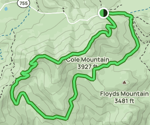 Cole Mountain via Appalachian Trail: 762 Reviews, Map - Virginia ...