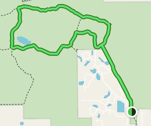 Buck Lake White Trail from East Trailhead: 27 Reviews, Map - Florida ...