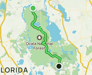 Florida Trail: Ocala National Forest, Florida - 94 Reviews, Map | AllTrails