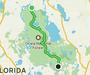 Florida Trail: Ocala National Forest: 89 Reviews, Map - Florida | AllTrails