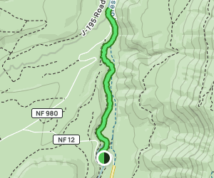 AllTrails | East Metolius River to Bridge 99 North Trail: 59 Reviews ...