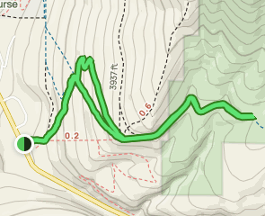 Mount Sentinel South Side: 113 foto - Montana | AllTrails