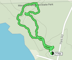 Falling Run Nature Trail: 88 Reviews, Map - Pennsylvania | AllTrails