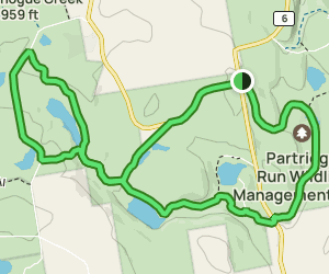 AllTrails | Partridge Run Trails: 104 Reviews, Map - New York