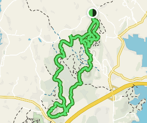 Thompson Mountain and Mount Avalon Loop: 81 Reviews, Map ...